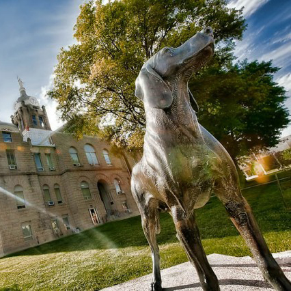 A Few Things Before You Visit - Gelbach Manor